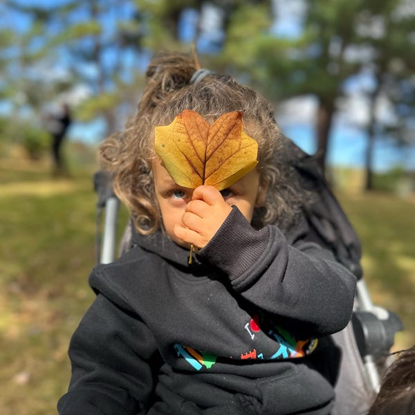 Nature Valentine's Day Cards - Printable | Nature Puns | Woodland ...