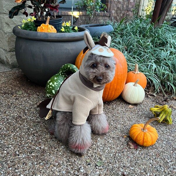 Bullseye Dog Costume: Toy Story Inspired Horse Outfit - Etsy