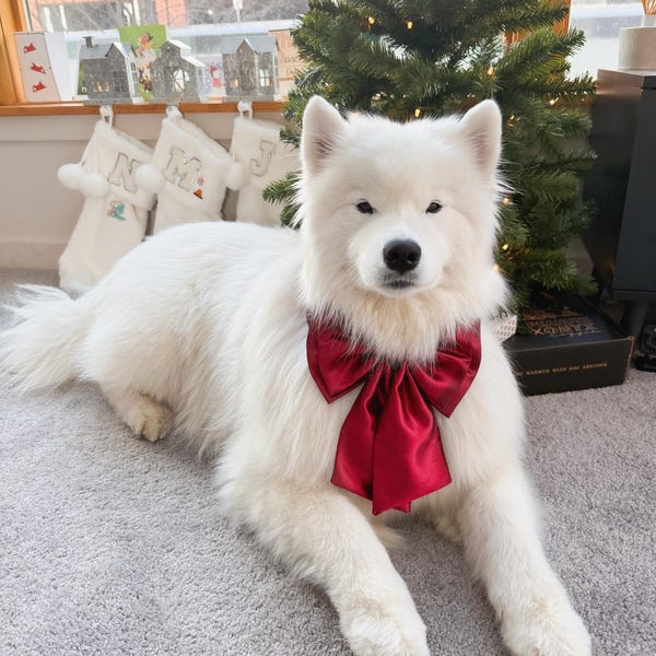 Chinese New Year Dog Bowdana | CNY Dog Bandana, Lunar New Year Bandana ...