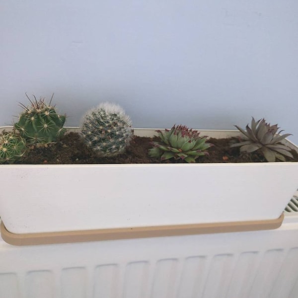 Rounded Cube Pot, Planter, Pot With Feet, Coloured Pot, Indoor Plant ...