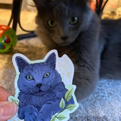 Grey Cat MAGNET Chonky Russian Blue Cat Magnet - Etsy