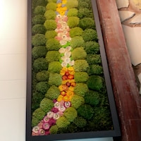 Mosswall + 2 Battery Operated LED Lamps, Preserved Moss, Lighted Moss ...