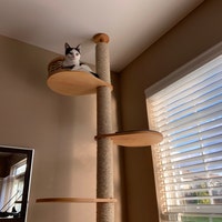 Floor-to-ceiling Cat Tree Cat Basket Handmade Luxury Cat Furniture ...
