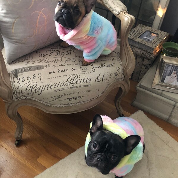 Frenchiestore Organic Dog Frenchie Ear Hoodie | Care Bear - Etsy