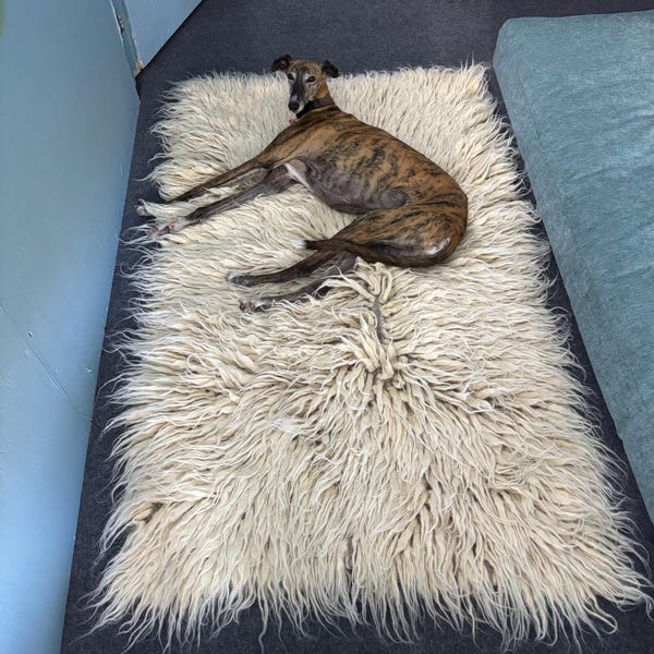 Shaggy Wool Rug, Natural Tufted Area Rug, Modern Scandinavian Wool Rug ...