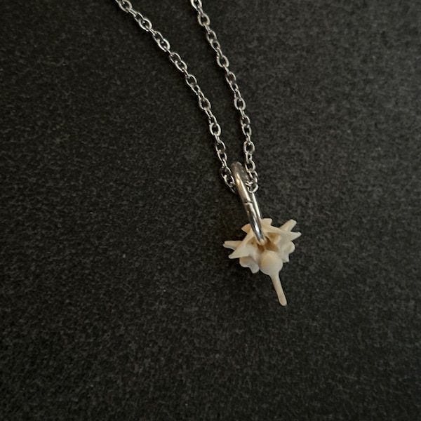 Silver Single Snake Vertebrae Bone Necklace, Real Bone Necklace ...