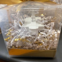 Noah's Ark Scale Model made to Order - Etsy