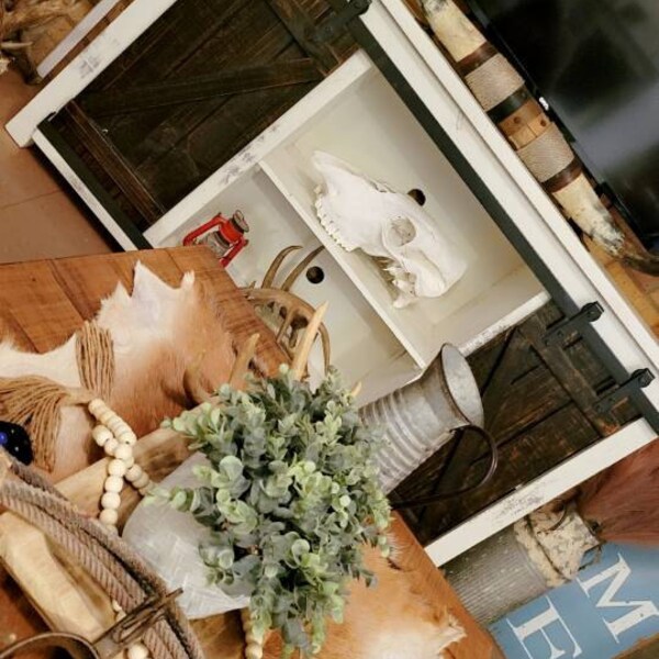 BEAUTIFUL Whitetail Deer Metalized European Mount. Gorgeous 9pt Buck ...