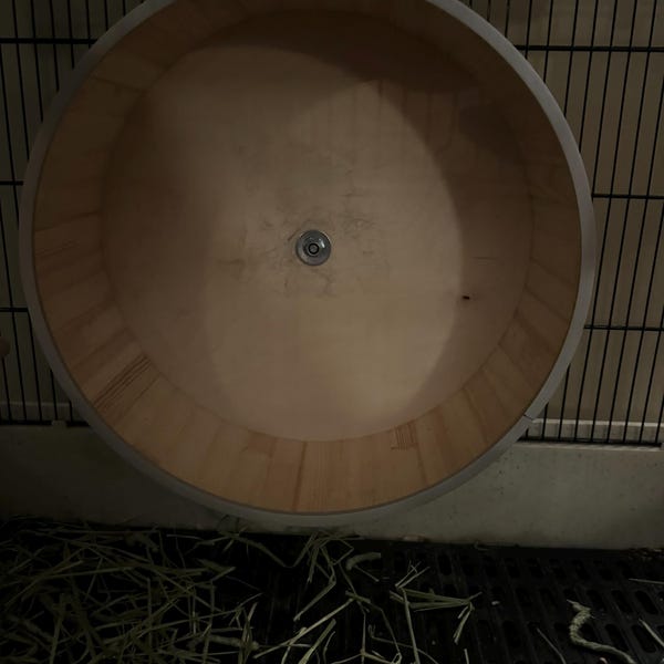 16" New Wheel Conception by Rodents Home. Aluminium Hoop Installed ...