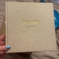 Pregnancy Journal | From Bump to Baby Book | Gift for Mum to Be ...