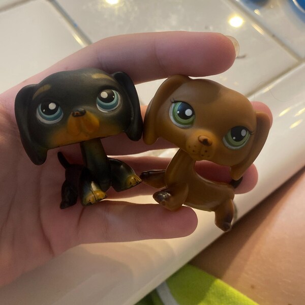 Littlest Pet Shop LPS Teal Zippered Soft Vinyl Carrying Case Collector ...