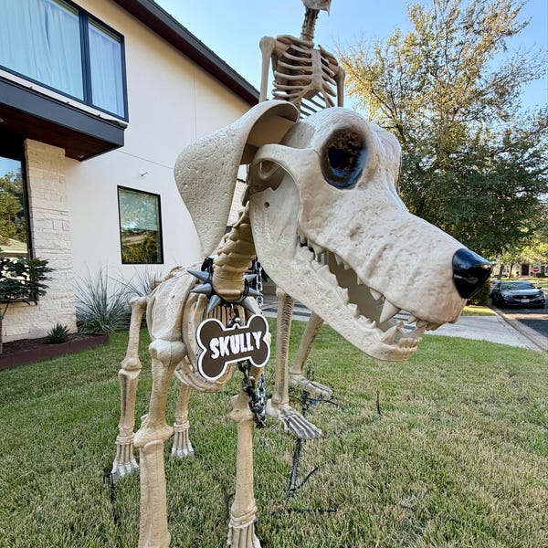 Aroace Chunky Spike Collar | Fursuit Collar | Cosplay Collar | Costume ...