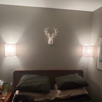 Witch Hand Wall Mounted Full Size Witch's Hand Hook Reaching From Wall ...