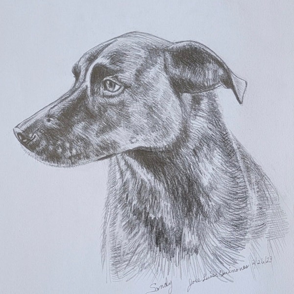 Professional, Portrait Drawing, Realistic, Graphite Sketch, Great Gift ...