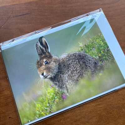 Duckling Greeting Card, Duck Greeting Card, Baby Bird Greeting Card ...