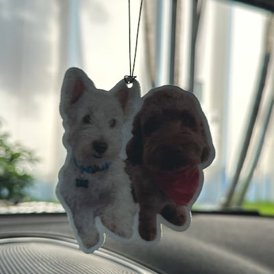 Funny Air Freshener Flaming Eye Freshener Cute Air - Etsy