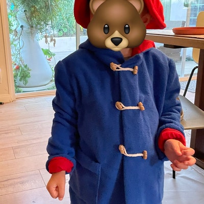 Bilbo Baggins Patchwork Dressing Gown. Custom Order Hobbit Robe. - Etsy