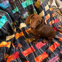 Charming Chevrons Digital Quilt Pattern by Christa Watson of ...