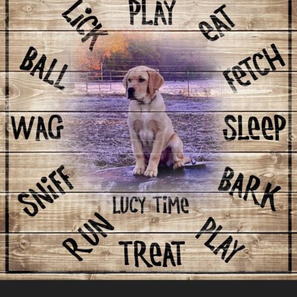 Dog Themed Signs, Dog Clocks, Custom Pet Décor, Custom Pet Signs, Dog ...
