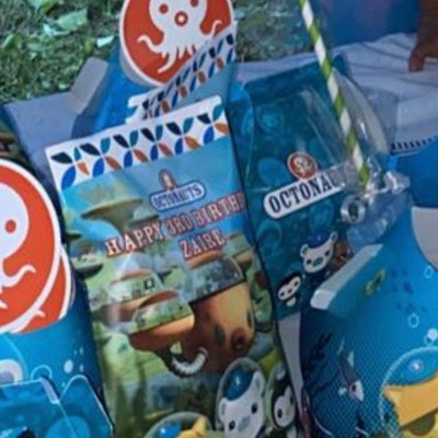 Octonauts Party Chip Bag, Octonaut Favors, Digital, Printed, Shipped ...