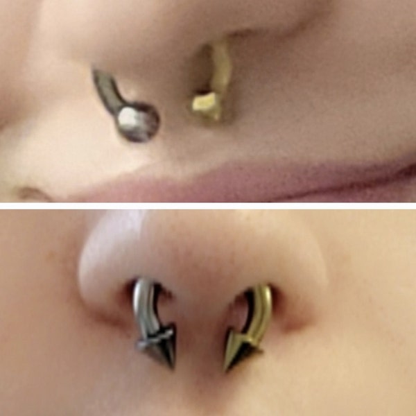 HALF GOLD / SILVER (4G, 5G, 6G, 7G, 8G, 10G, or 12G) Anodized Astm F136 ...