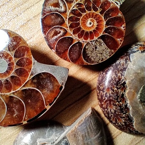 Large Flower of Life Crystal Grid Mat Handmade Upcycled | Etsy