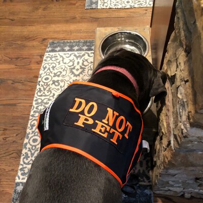 Dog Vest DO NOT PET Alert Vest - Etsy