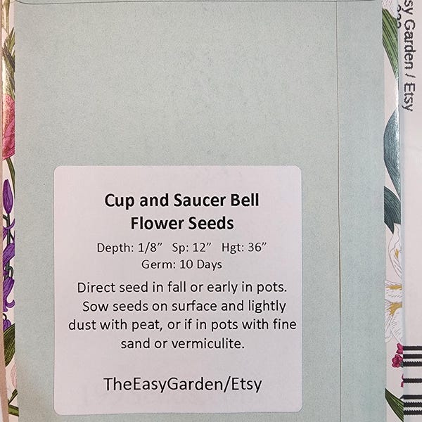 Cup and Saucer Bell Flower Seeds - Etsy