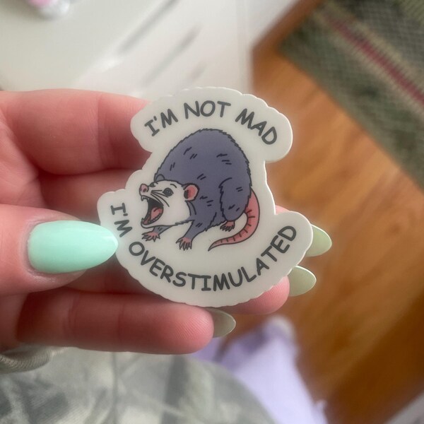 Today's Hyperfixation Vinyl Sticker | Laptop Stickers | Water Bottle ...