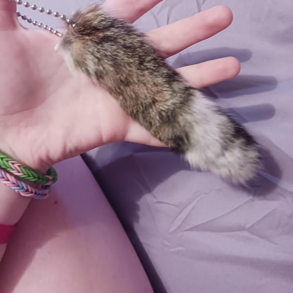 Genuine Bobcat Tail Keychain (CHOOSE SIZE) - Etsy