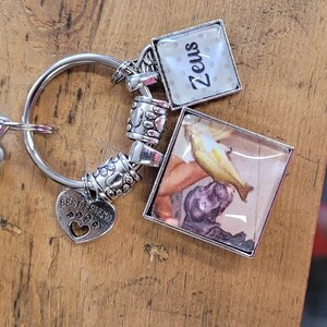 Pet Memorial Key Ring Pet Memorial Keychain With Custom Photo and ...
