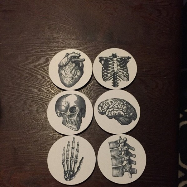 Anatomy Coasters Hostess Gift Graduation Doctor Nursing Medical Student ...