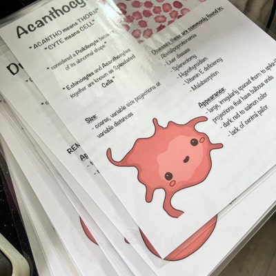 Cell Division Mitosis Clip Art Digital Download, Cute Biology Clip Art ...