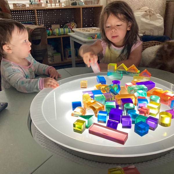 Ladybug Life Cycle/ Critical Thinking/ Montessori Reggio Emilia ...
