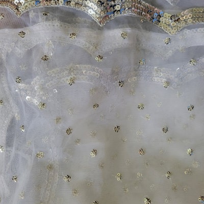 Golden Net Dupatta With Beaded Border. Indian Dupatta for - Etsy