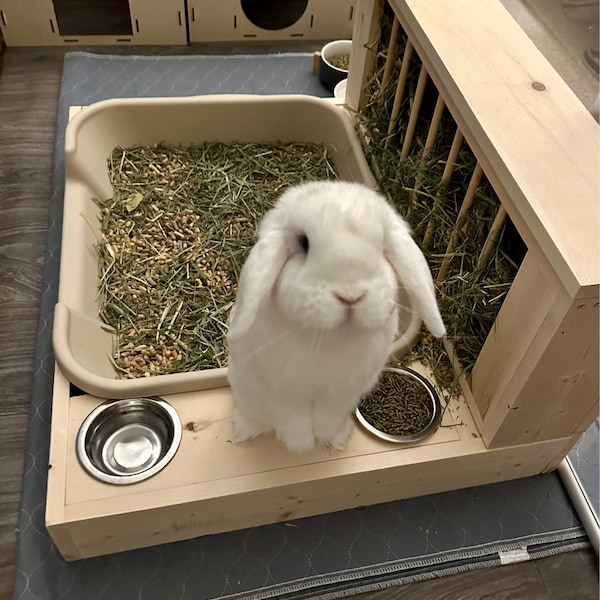 Cardboard Craft Tubes Choose Your Amount Thick Sturdy Multi Use Tubes ...