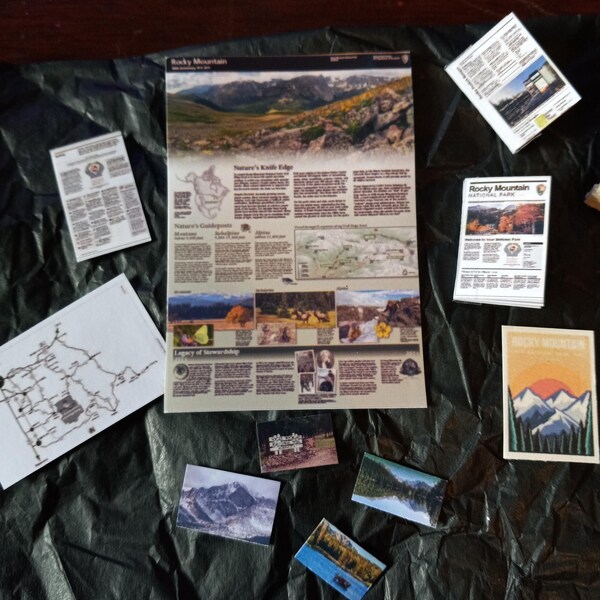 Miniature 1:12 Antique Crime Scene Photos Tiny True Crime Prop Mystery ...