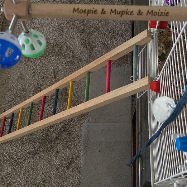Perch Toy With Rotating Balls for Budgies, Budgerigars, Parakeets ...
