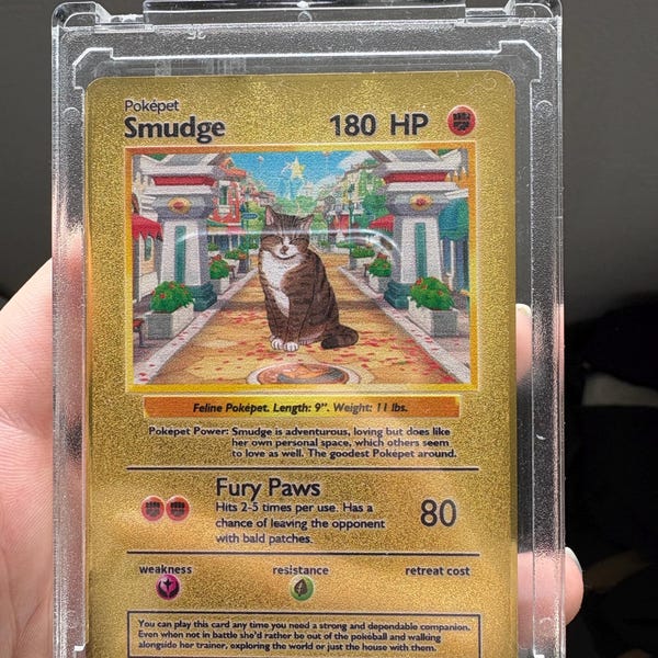 Custom Pet Portrait, Custom Dog Portrait, Custom Pokemon Cards ...
