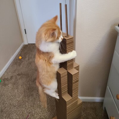 Sears Tower Cat Scratching Post, Chicago Architecture Cardboard ...