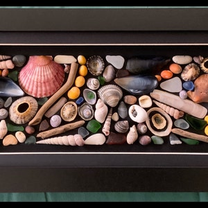 Razor Clam Shell Pairs Small Medium Large Cornish - Etsy