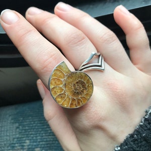 2 3/8 Fifi Rose Paisley Nautilus Shell 925 Sterling | Etsy