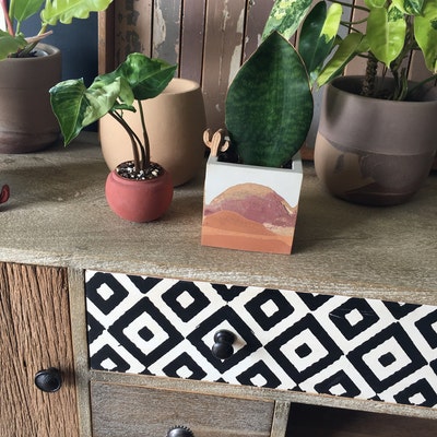 Yellow Terracotta Concrete Planter Box Minimalist Planter Pot Succulent ...