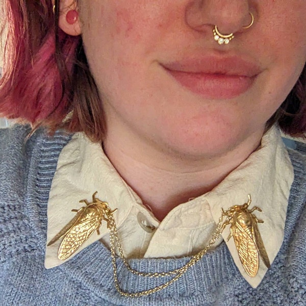 Handmade Large Brass Cicada Collar Pins // Spirit Animal Lapel Cardigan ...