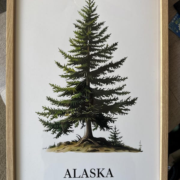 Florida State Tree Art Print, Sabal Palm Tree Wall Art, State Symbol ...