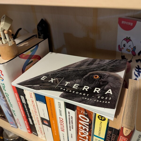 Draco Minimus Book - Etsy