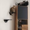 Cat Steps Set 3 Psc. Cat Walk Wall, Cat Steps, Cat Wall Furniture, Cat ...