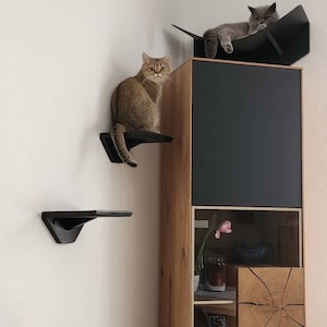 Cat Steps Set 3 Psc. Cat Walk Wall, Cat Steps, Cat Wall Furniture, Cat ...
