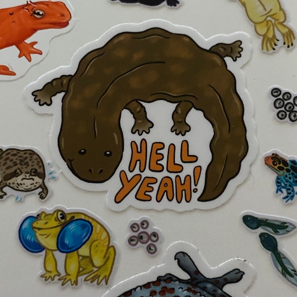 Hellbender Sticker - Etsy