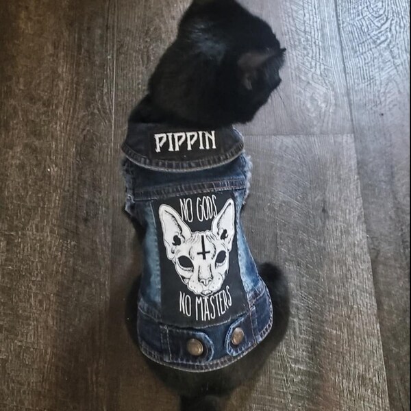 No Gods No Masters Patch, No Idols Patch, Cat Patch, Sphinx Patch, Cat Patch, Satan Patch, Back ...